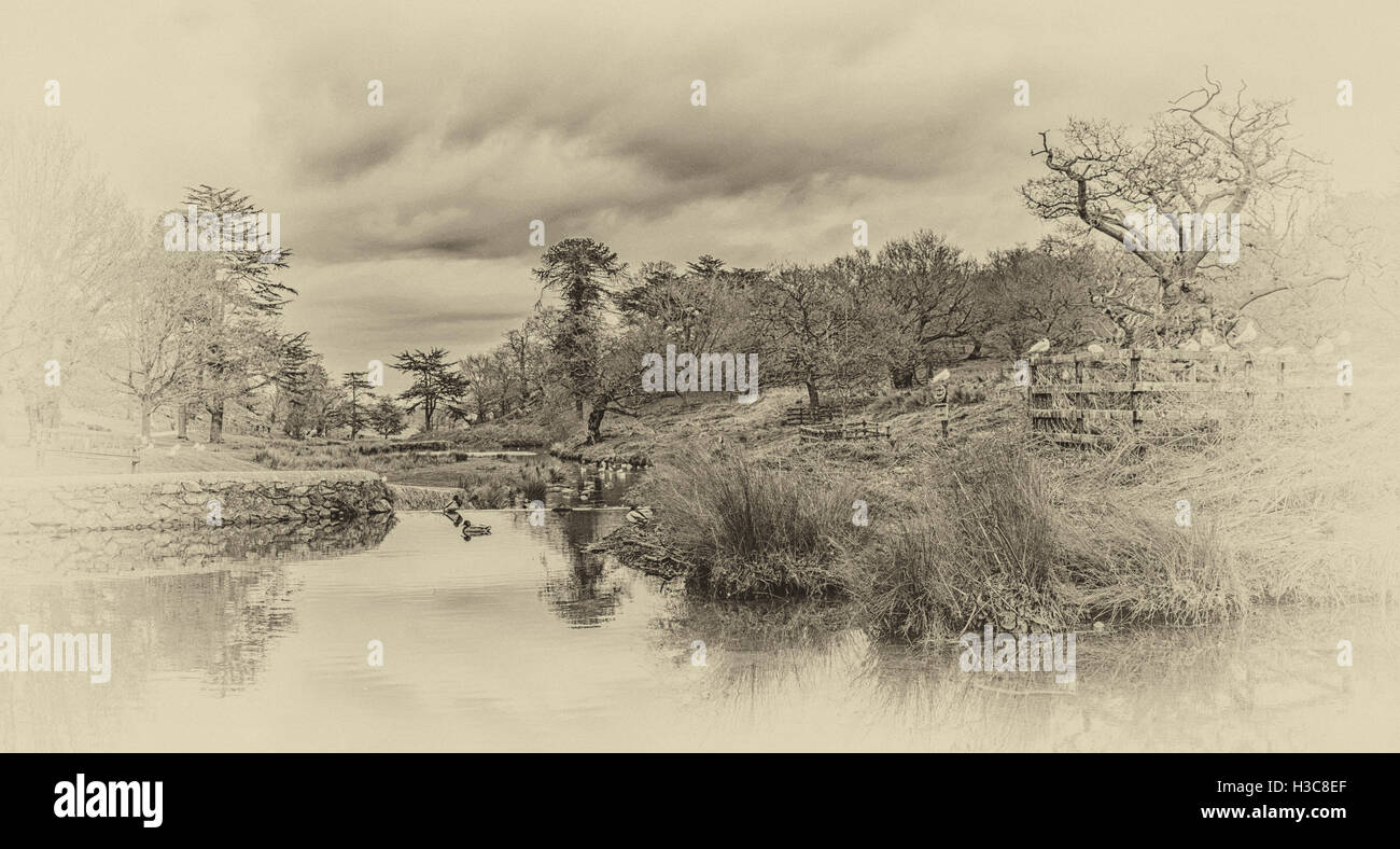 Old pond hi-res stock photography and images - Alamy