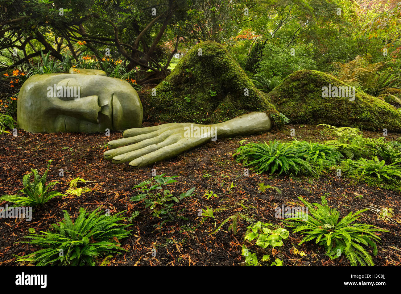 Moss Lady sleeping in Beacon Hill Park-Victoria, British Columbia ...