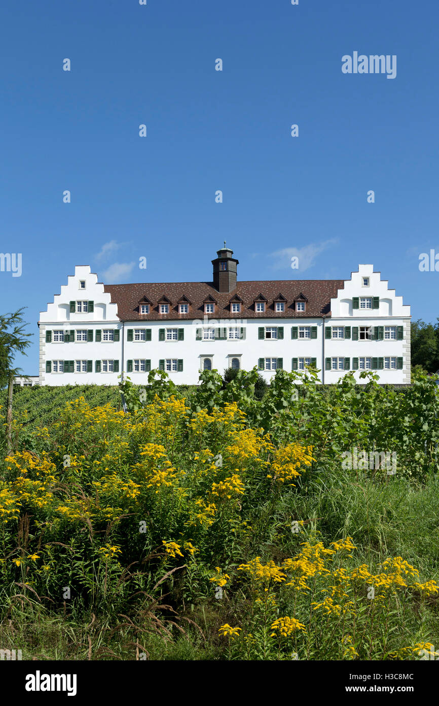 Schloss hersberg hi-res stock photography and images - Alamy