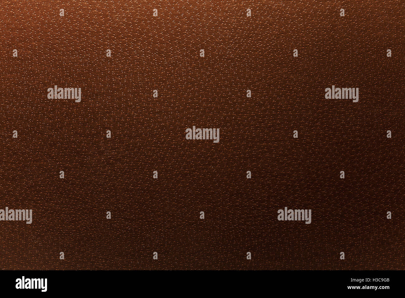 Leatherette cover hi-res stock photography and images - Alamy
