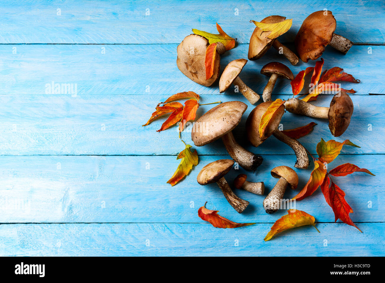 Thanksgiving or fall background with forest mushrooms and fall leaves ...