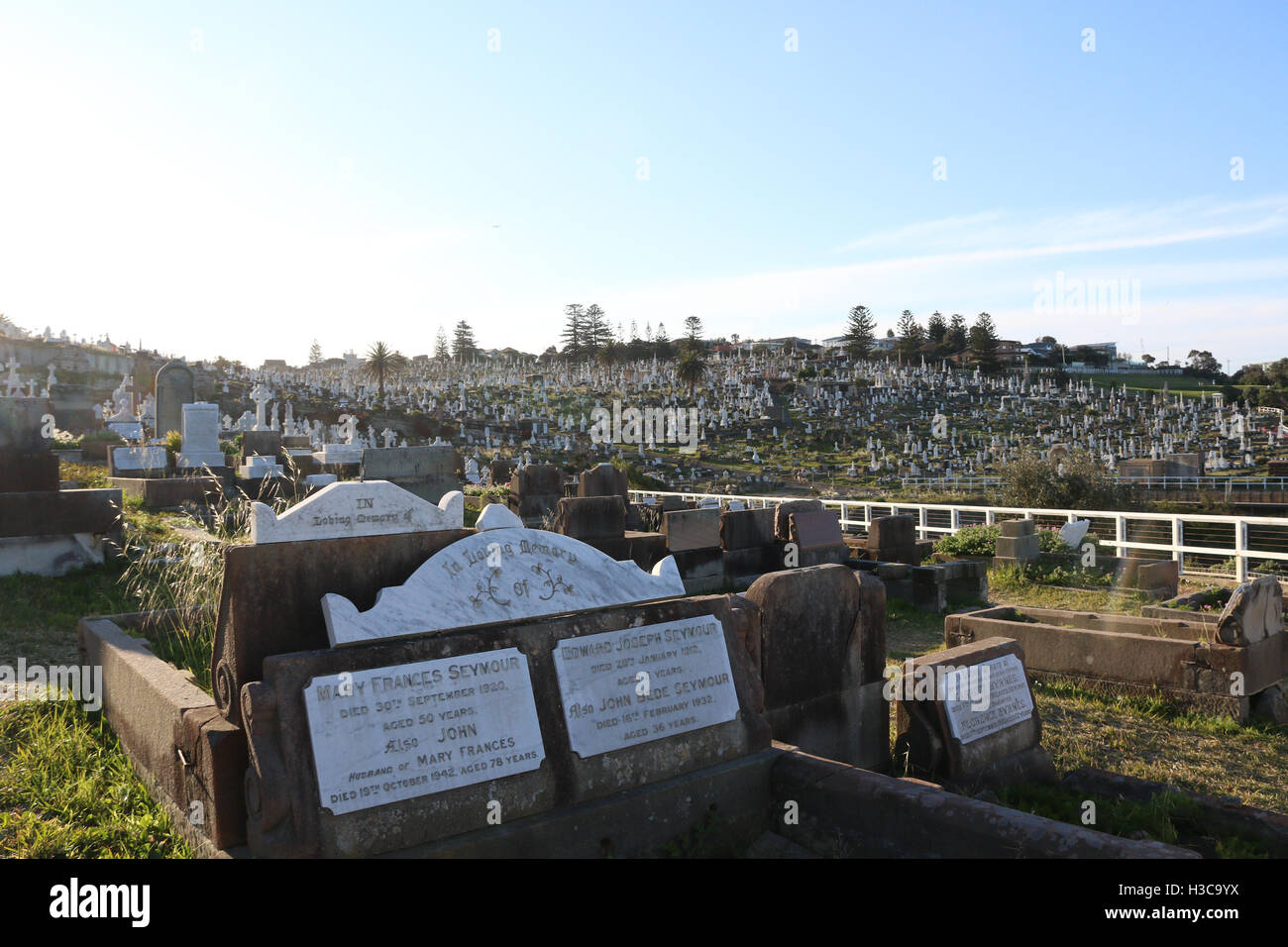 Waverley cemetery australia hi-res stock photography and images - Alamy