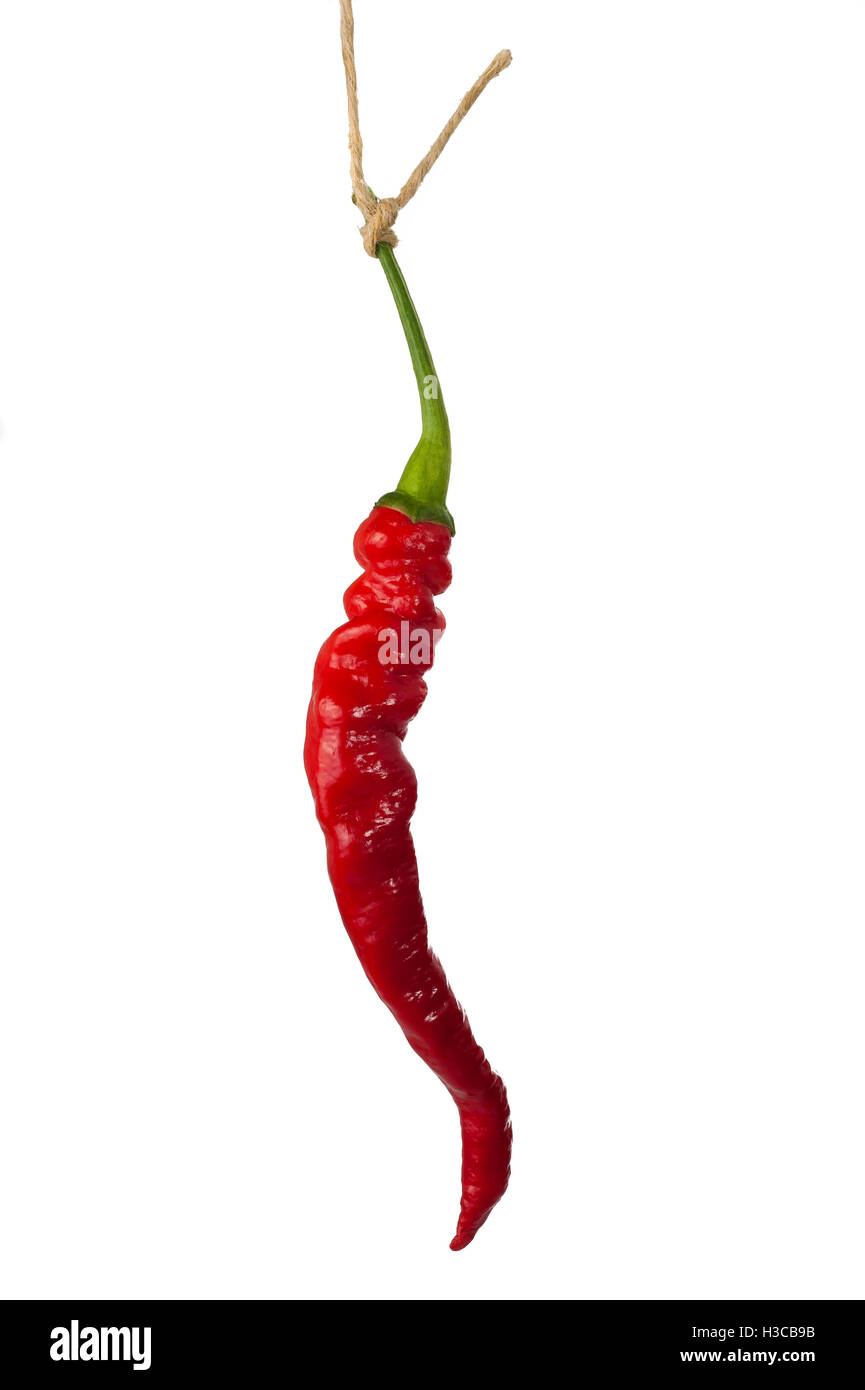 Red hot pepper powder hi-res stock photography and images - Alamy