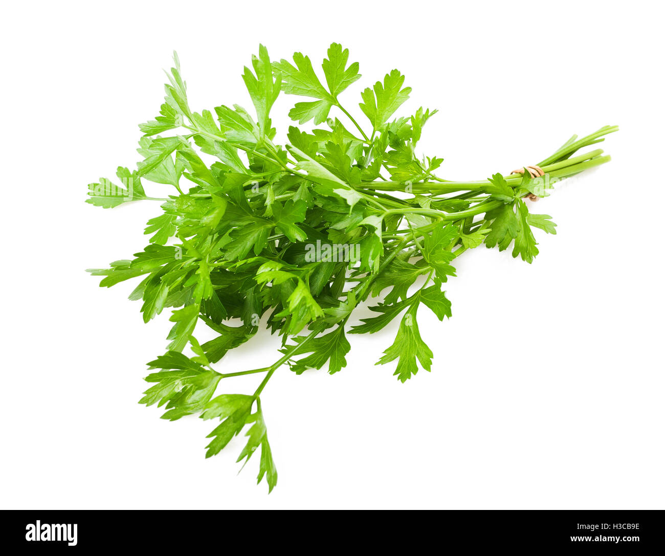 Parsley bunch isolated on white Stock Photo - Alamy