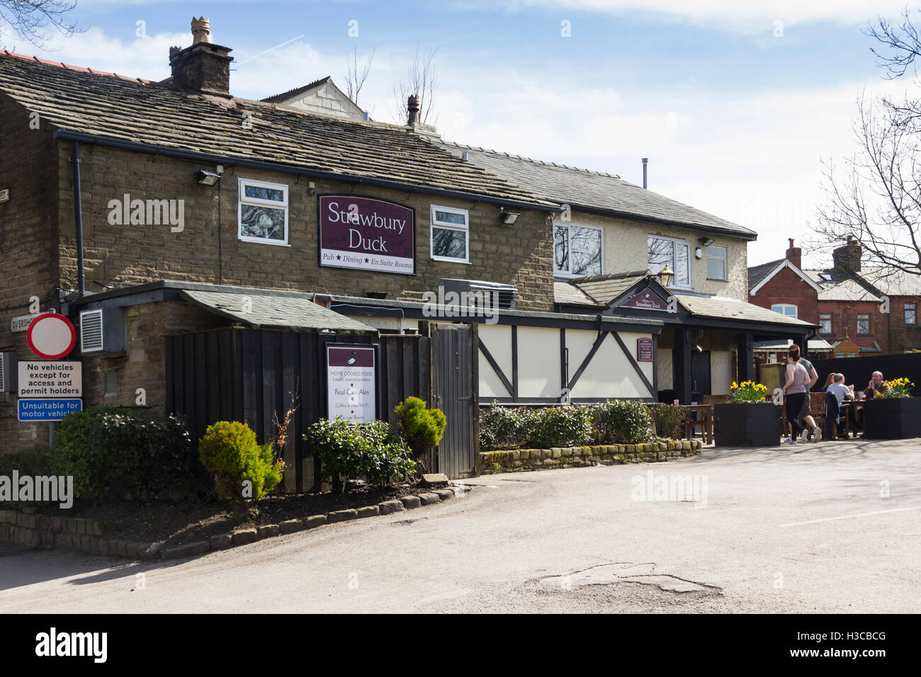 Strawbury duck hi-res stock photography and images - Alamy