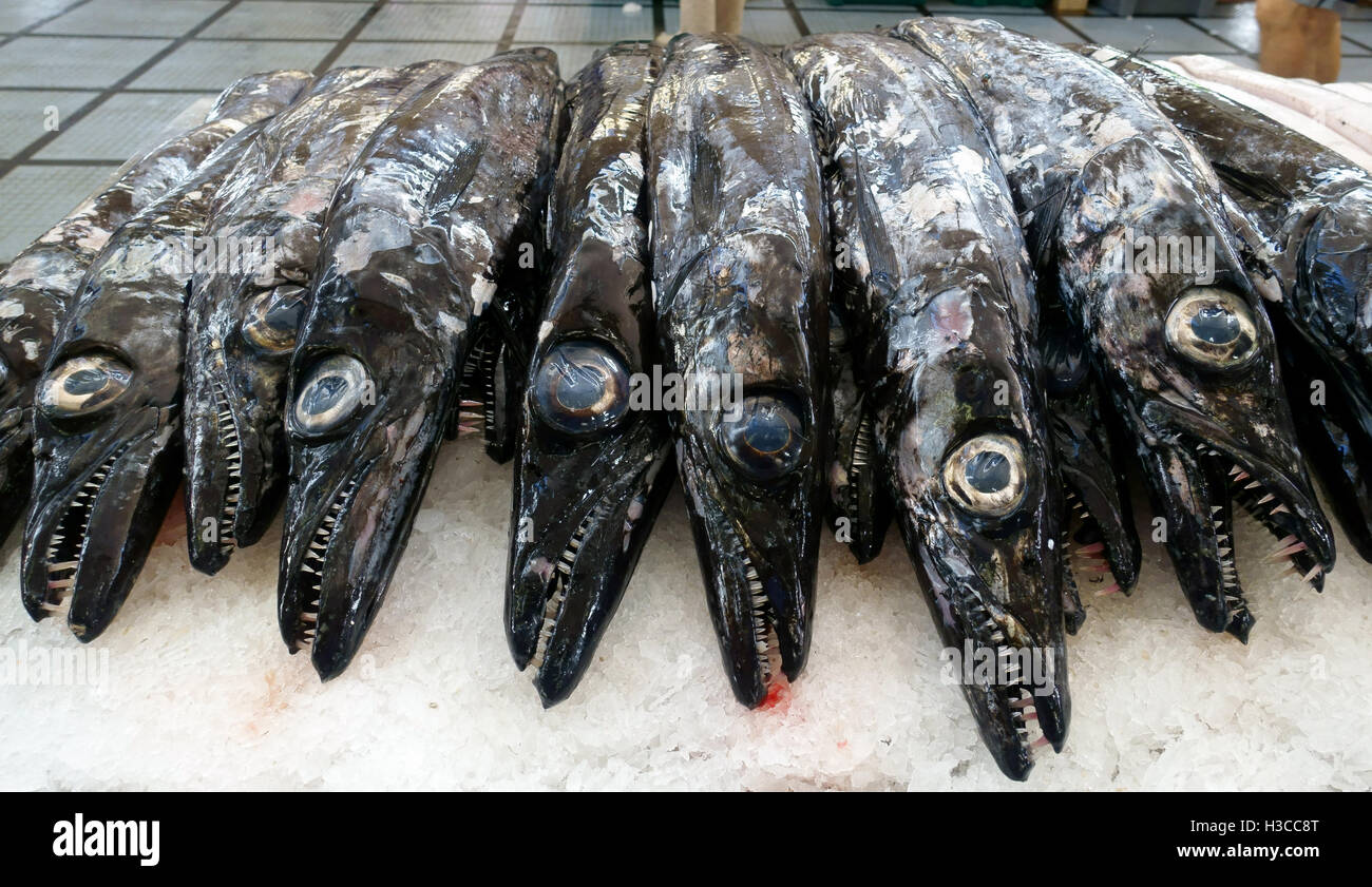 Madeira scabbard fish hi-res stock photography and images - Alamy