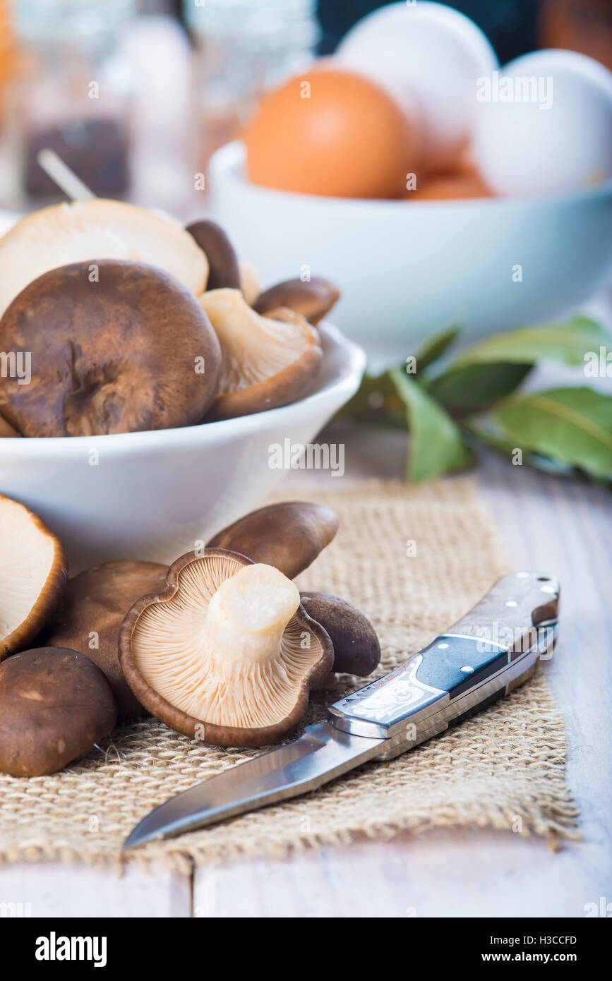 Trumpet mushrooms hi-res stock photography and images - Alamy