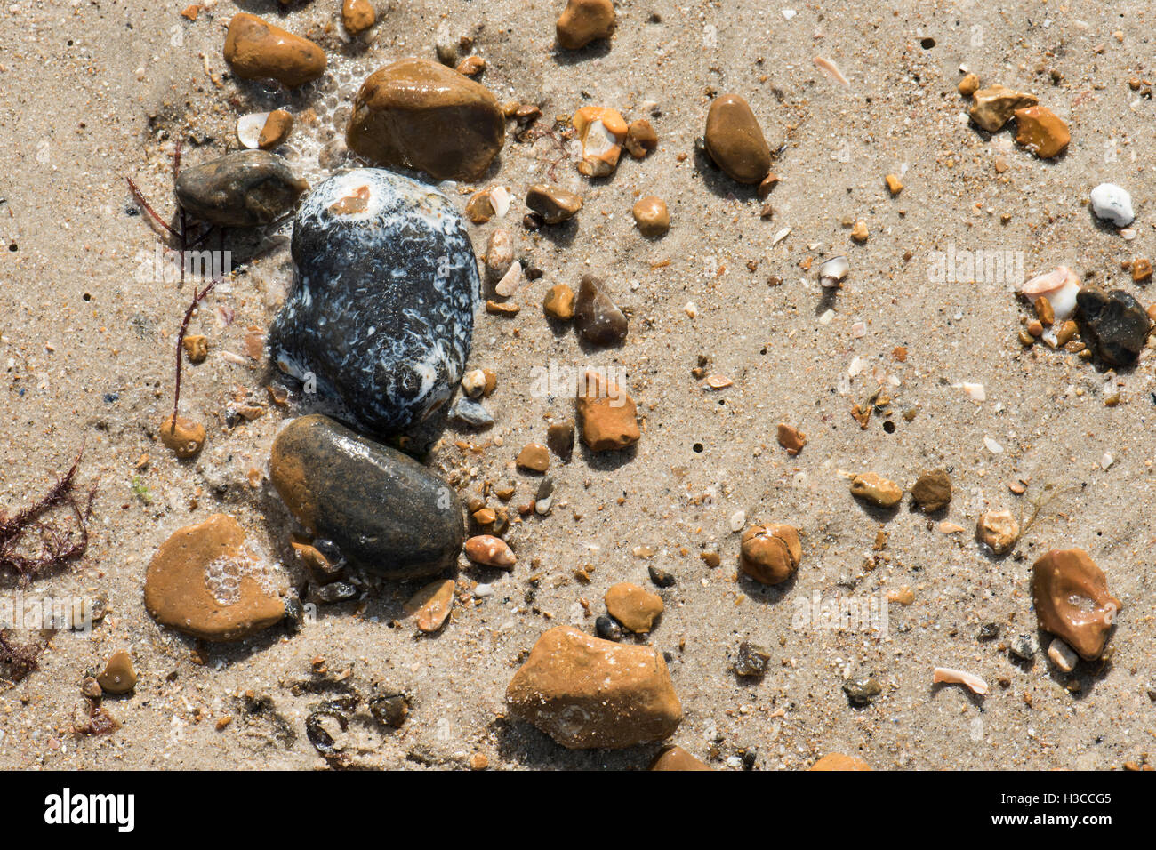 shingle and sand on a beach at Rustington, West Sussex, UK Stock Photo ...
