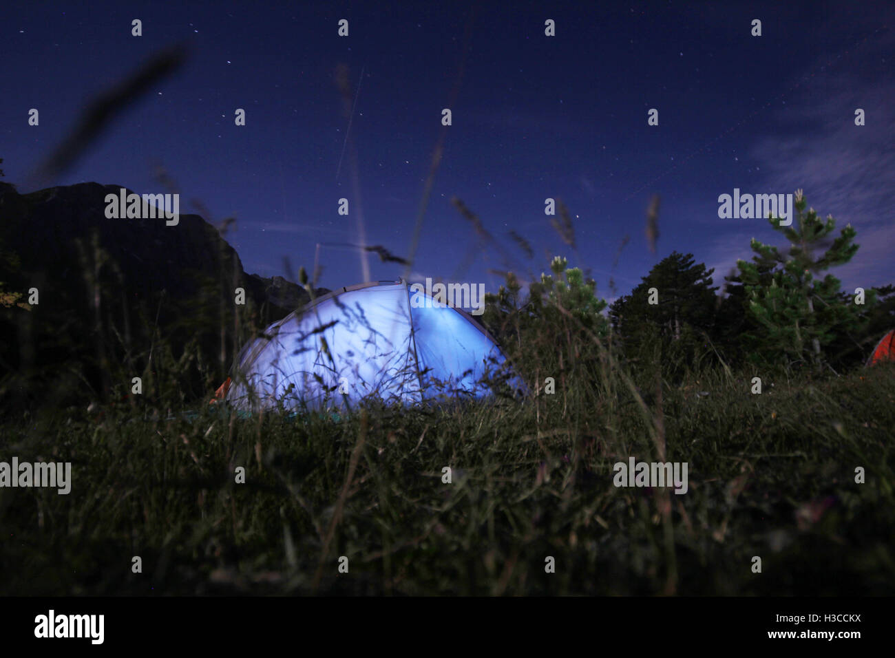 Nigh star hi-res stock photography and images - Alamy