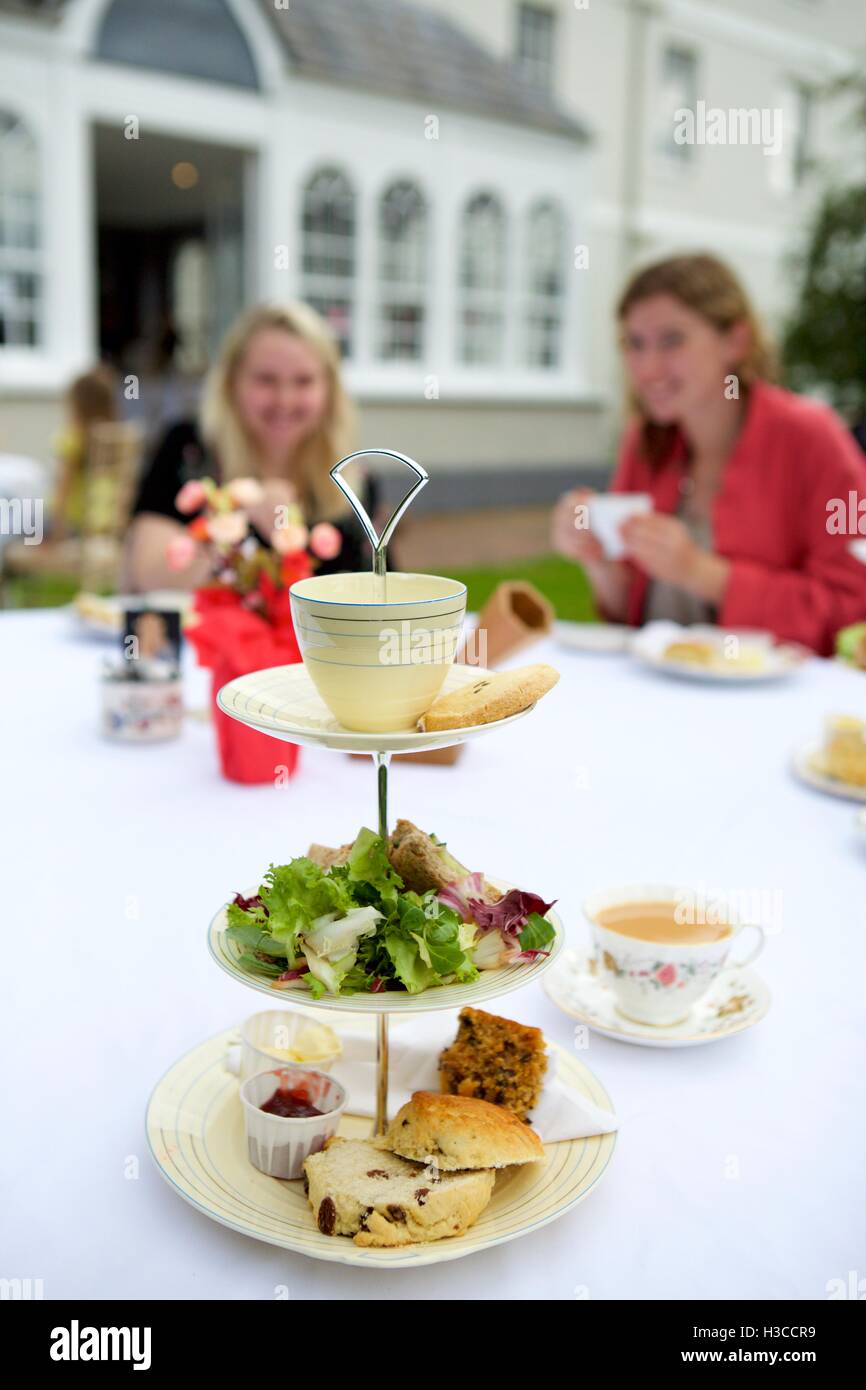 High tea at ‘A Great British Day Out in the Park’ at Bridwell’s ...