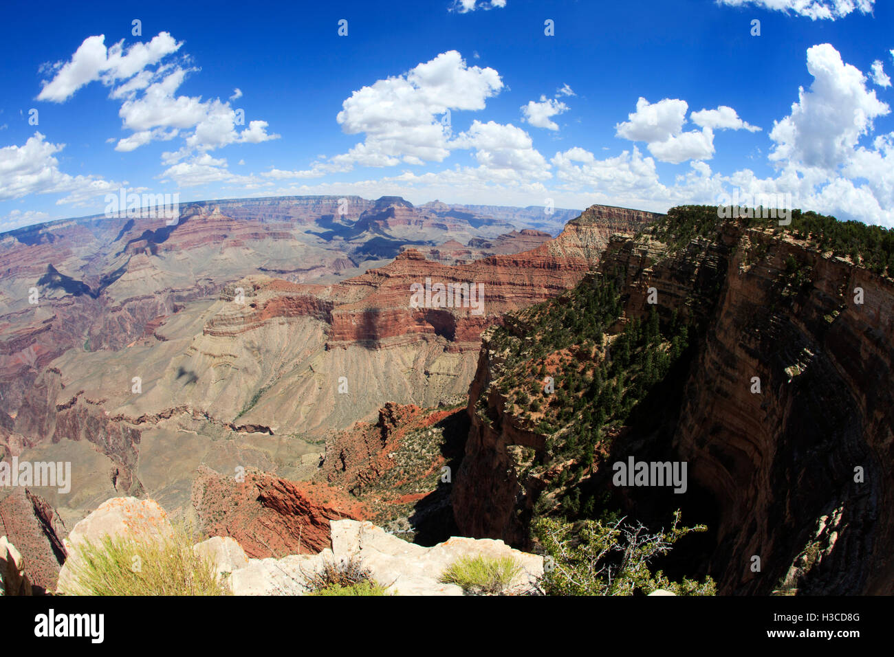 South Rim Grand Canyon, Arizona, USA Stock Photo - Alamy