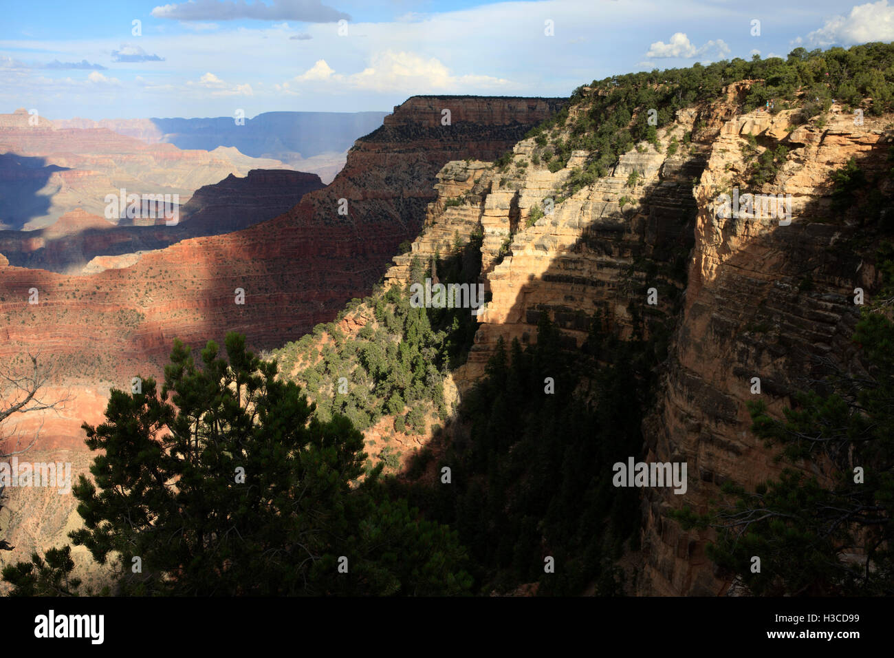 South Rim Grand Canyon, Arizona, USA Stock Photo - Alamy