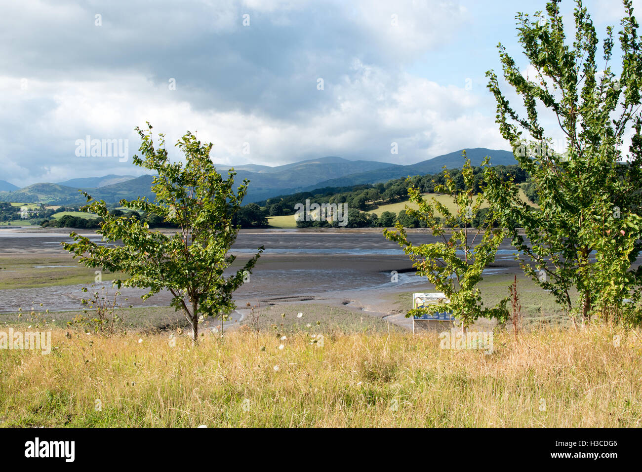 Beautiful landscape welsh river hi-res stock photography and images - Alamy
