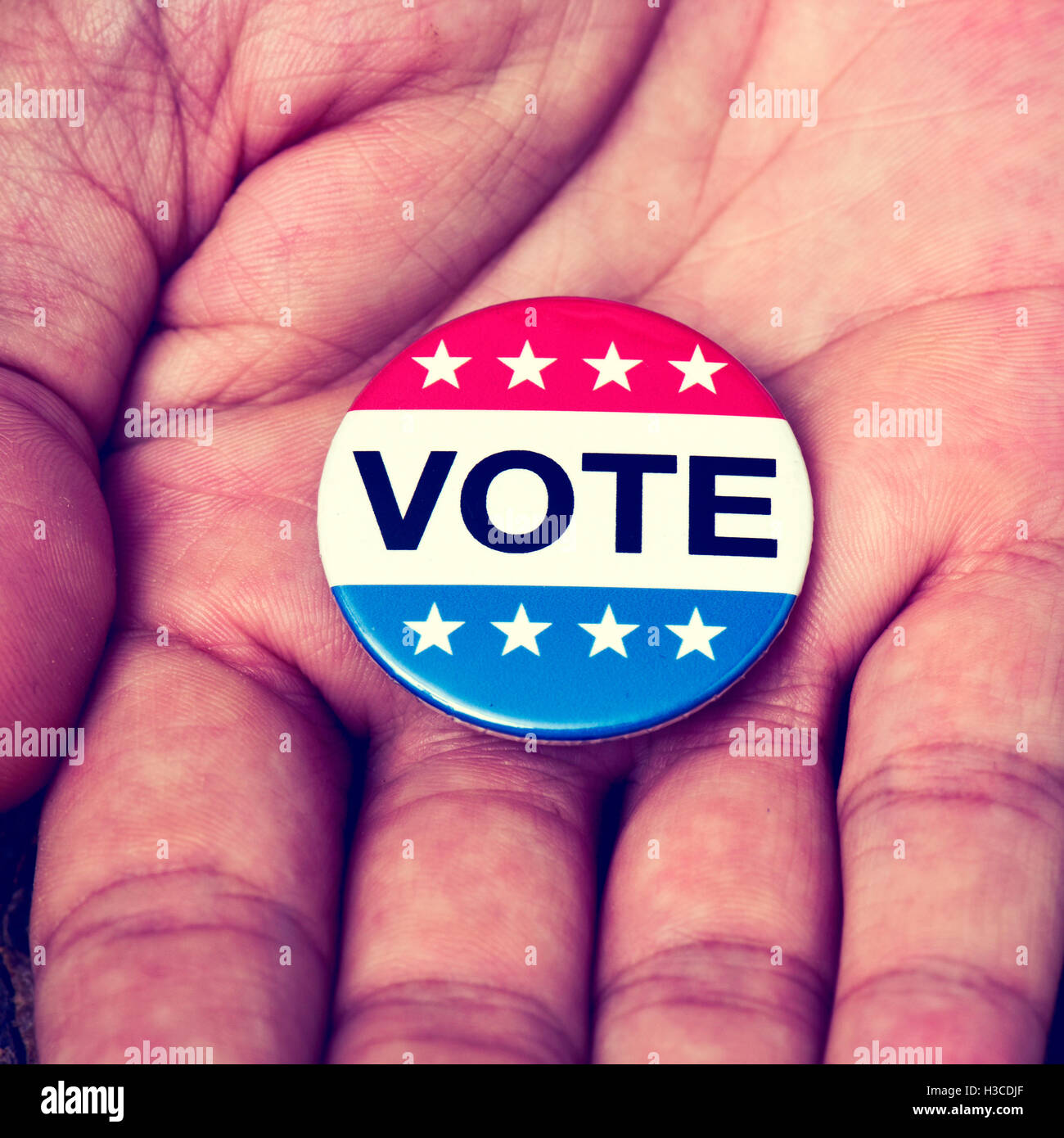 closeup of a button campaign with the word vote written in it, for the ...