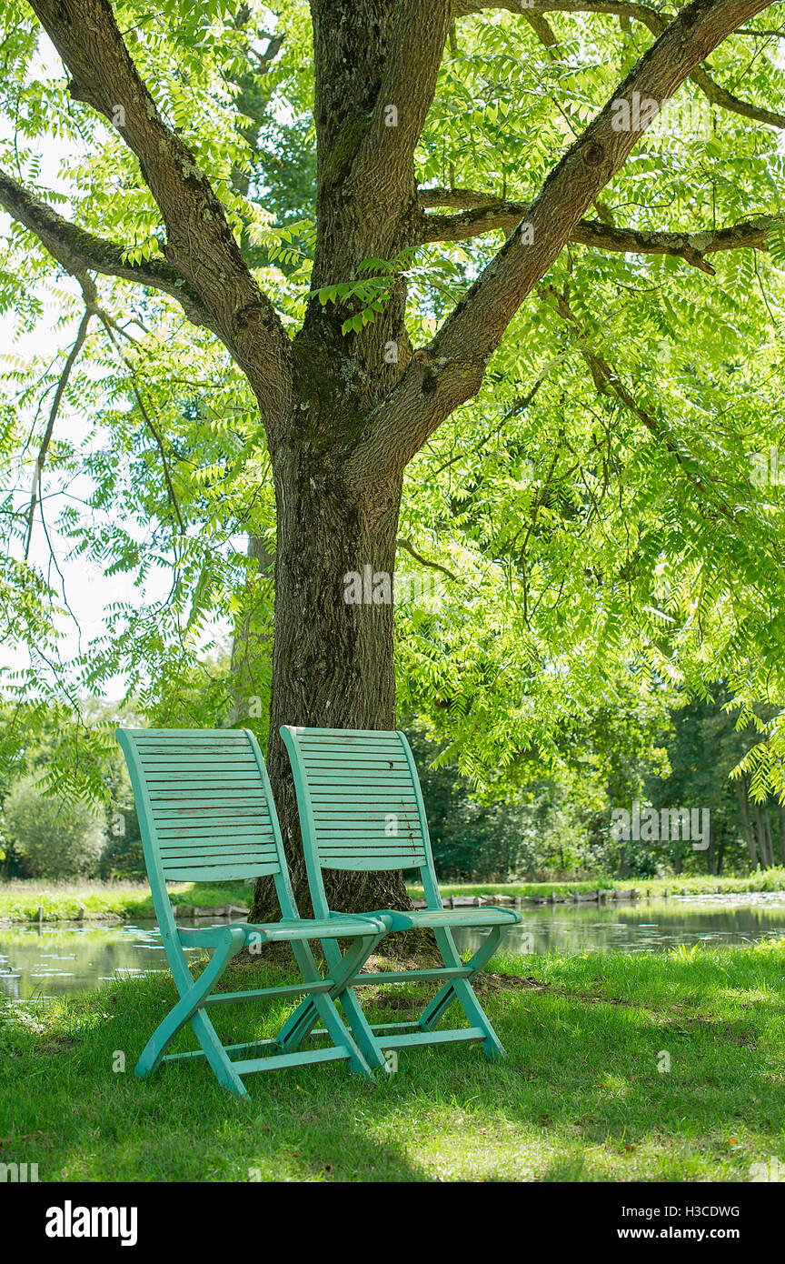 Tree trunk chairs hi-res stock photography and images - Alamy