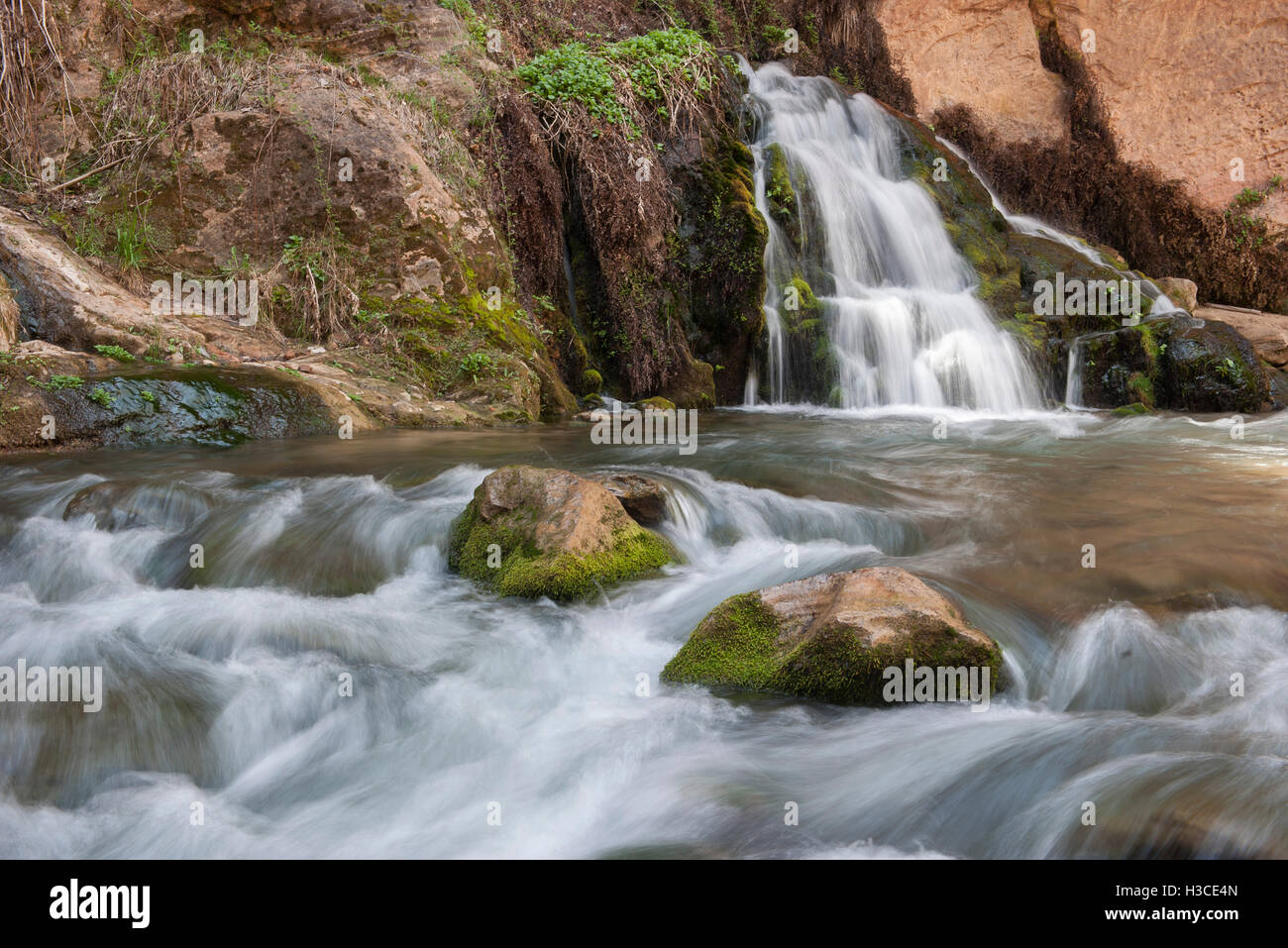 Stream flowing over rocks in Zion National Park, Utah, USA Stock Photo ...