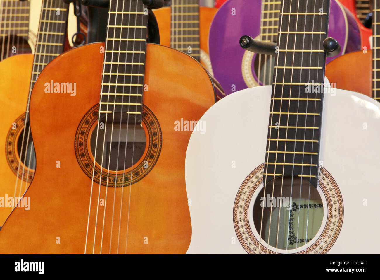 Types Of Classical Guitar Bodies at Catherine Moore blog