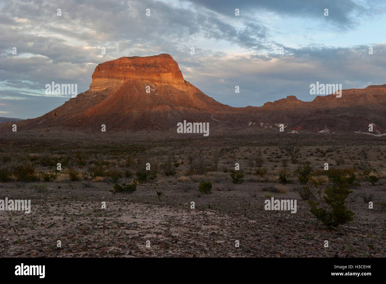 Desert landscape with butte, Big Bend National Park, Texas, USA Stock ...