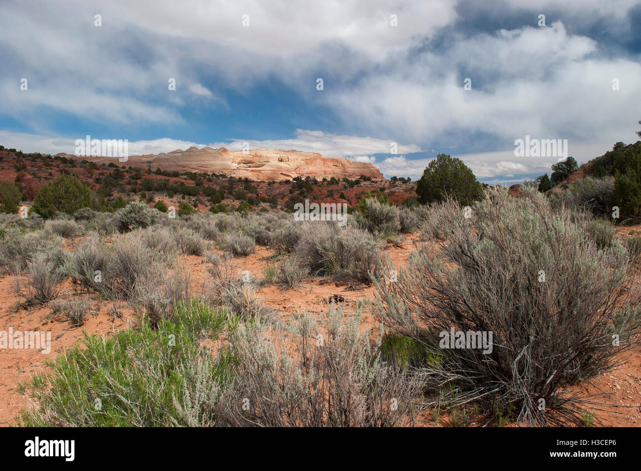Scenic desert landscape, Utah, USA Stock Photo - Alamy