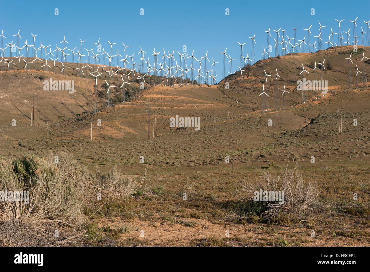 Wind farm in an arid region of California, USA Stock Photo - Alamy