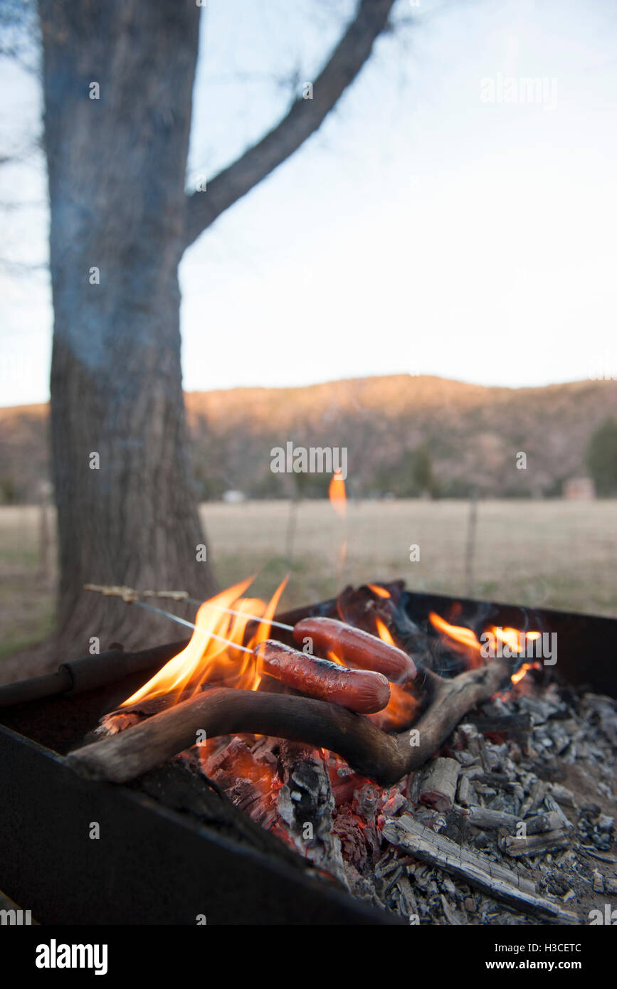 Cooking hot dogs over a campfire hi-res stock photography and images ...