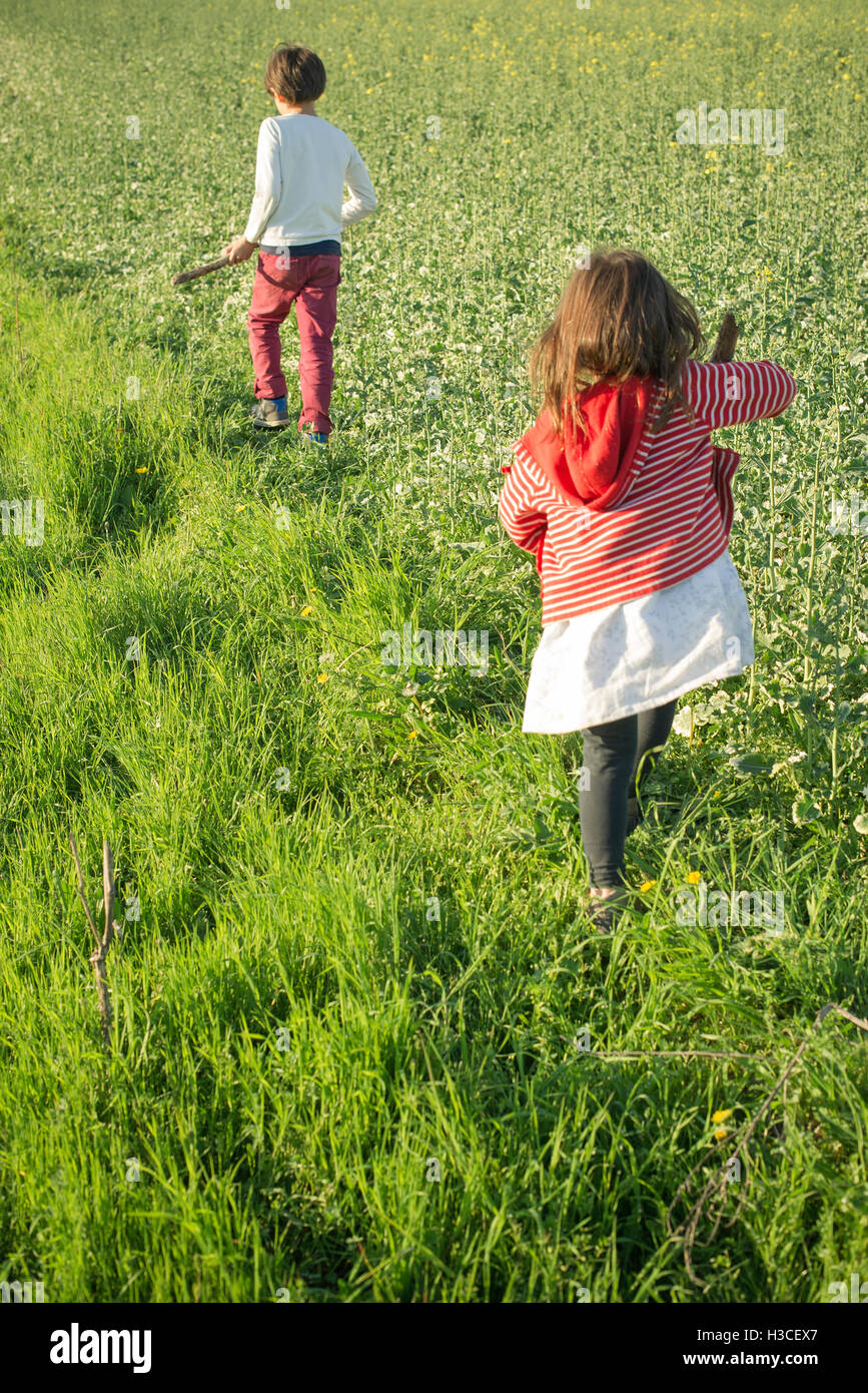 Children walking in field, rear view Stock Photo - Alamy