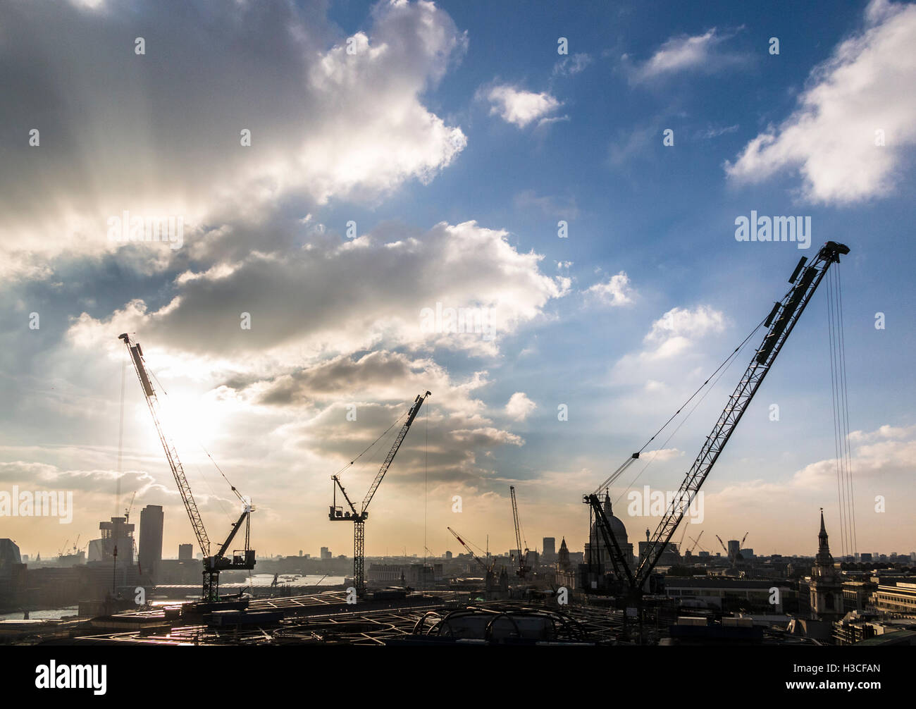 Crane against skyline crane hi-res stock photography and images - Alamy