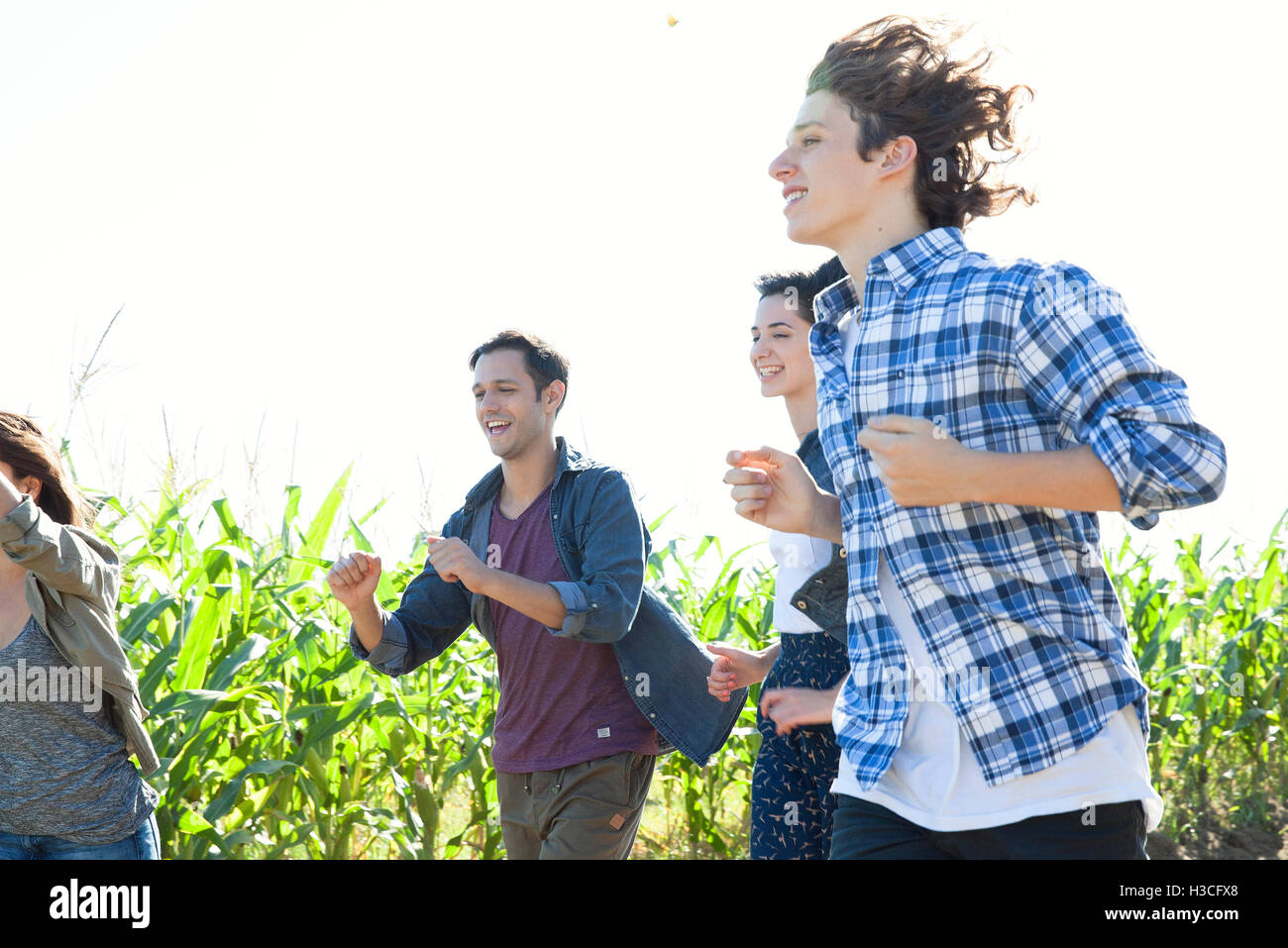Friends on fun run through cornfield Stock Photo - Alamy