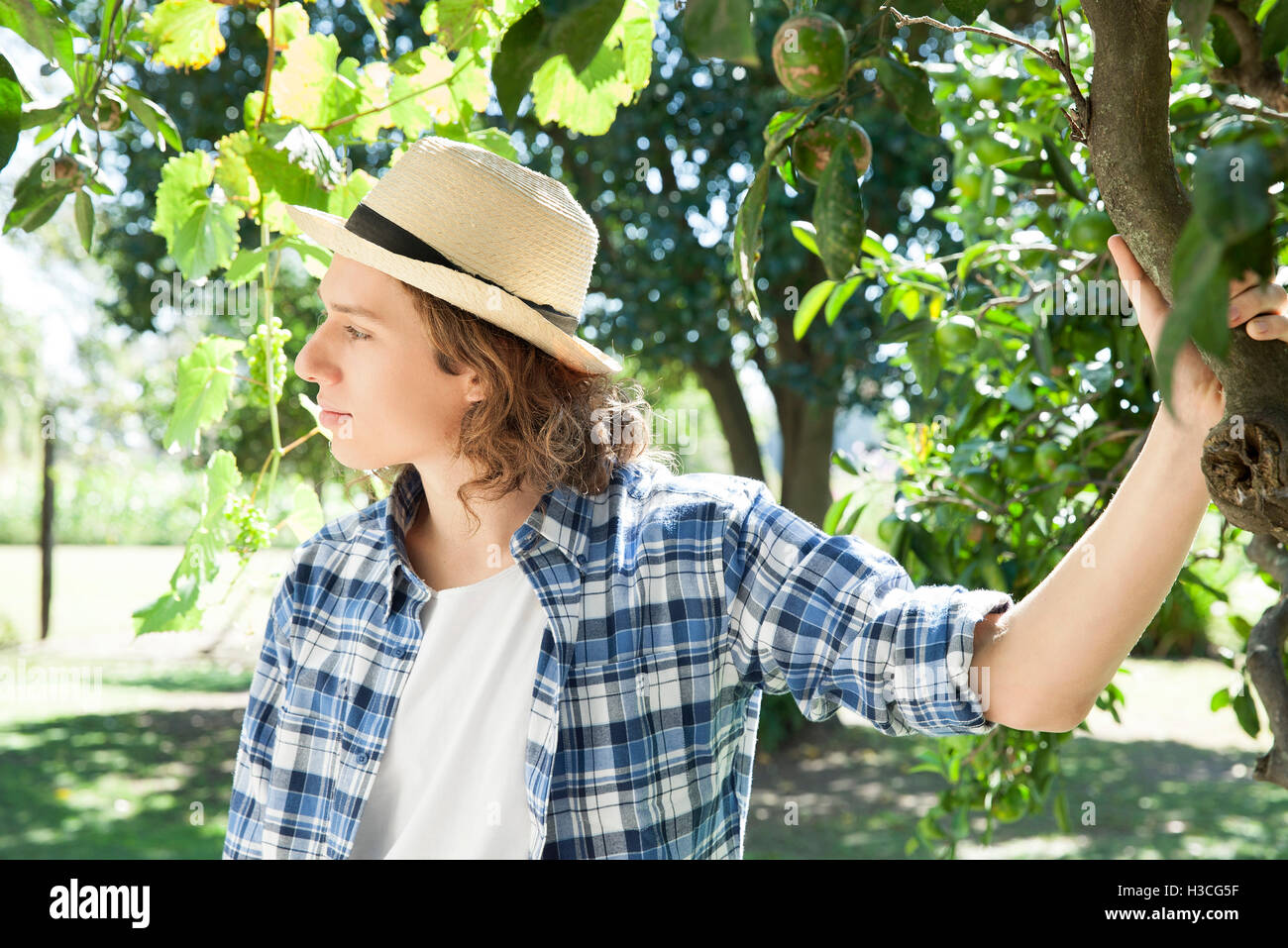 Young man contemplating under tree in vineyard, portrait Stock Photo ...