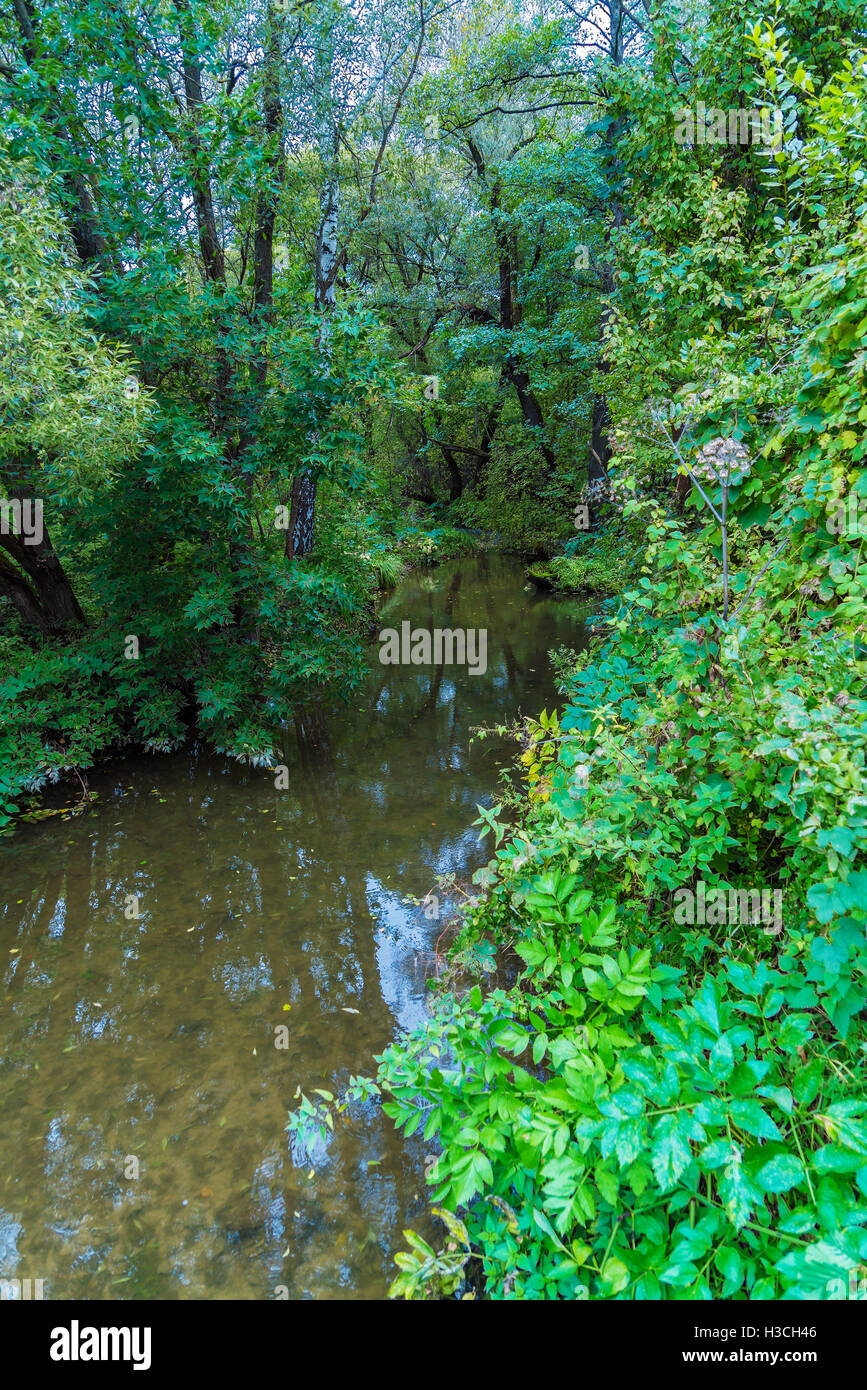 Overgrown banks hi-res stock photography and images - Alamy