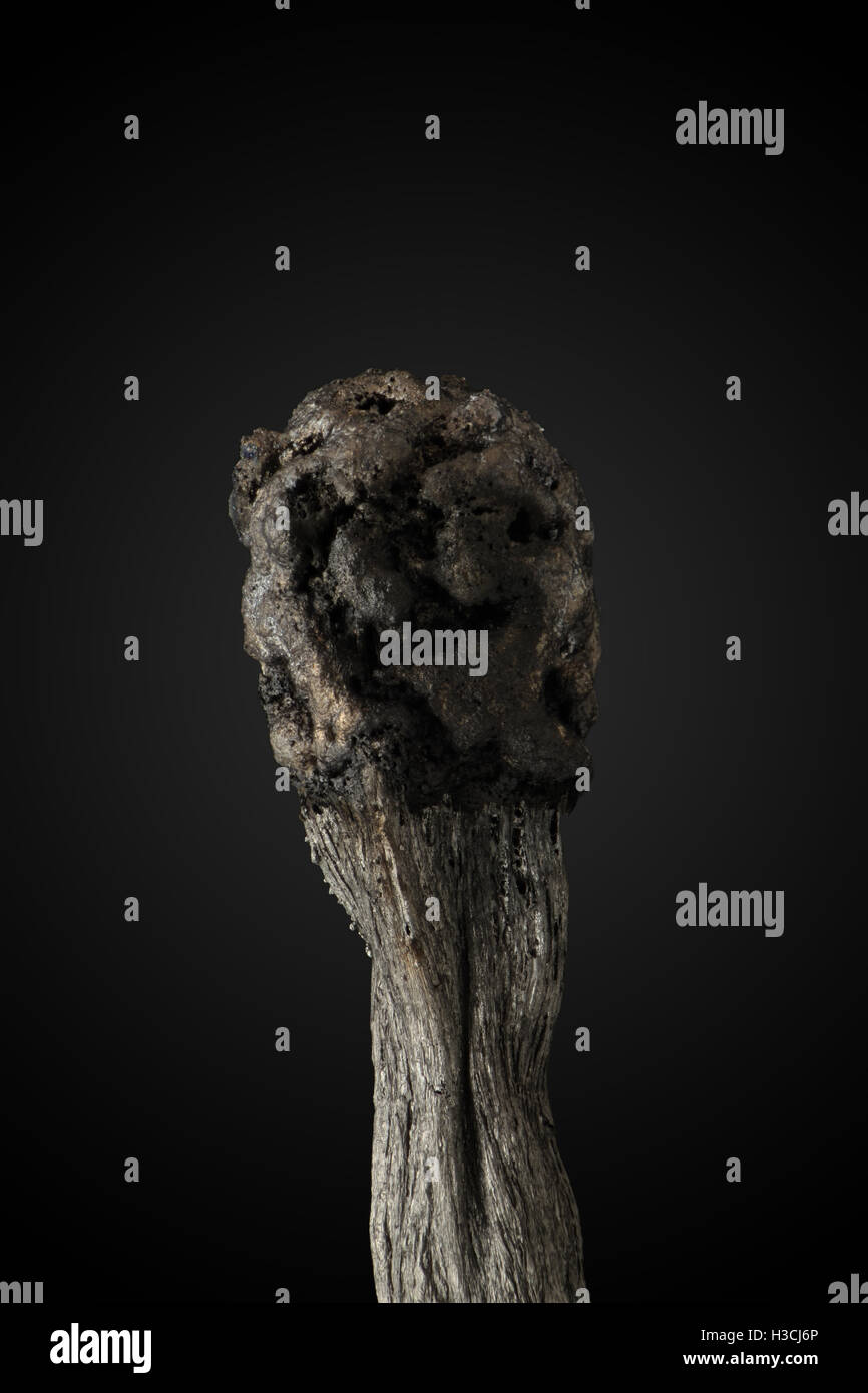 Extreme magnification - Matchstick after burning Stock Photo - Alamy