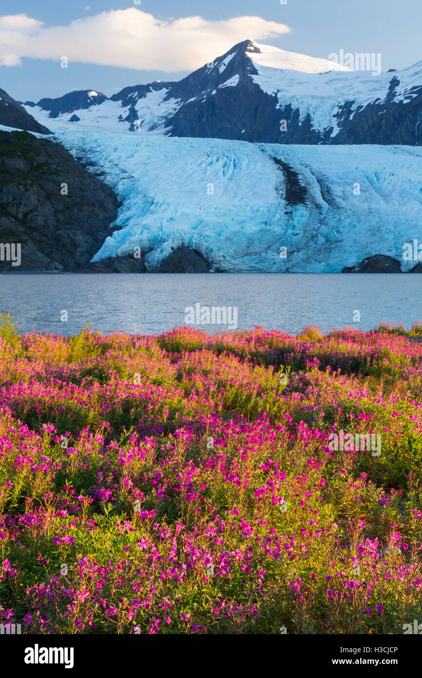 Portage Glacier, Chugach National Forest, Alaska Stock Photo - Alamy