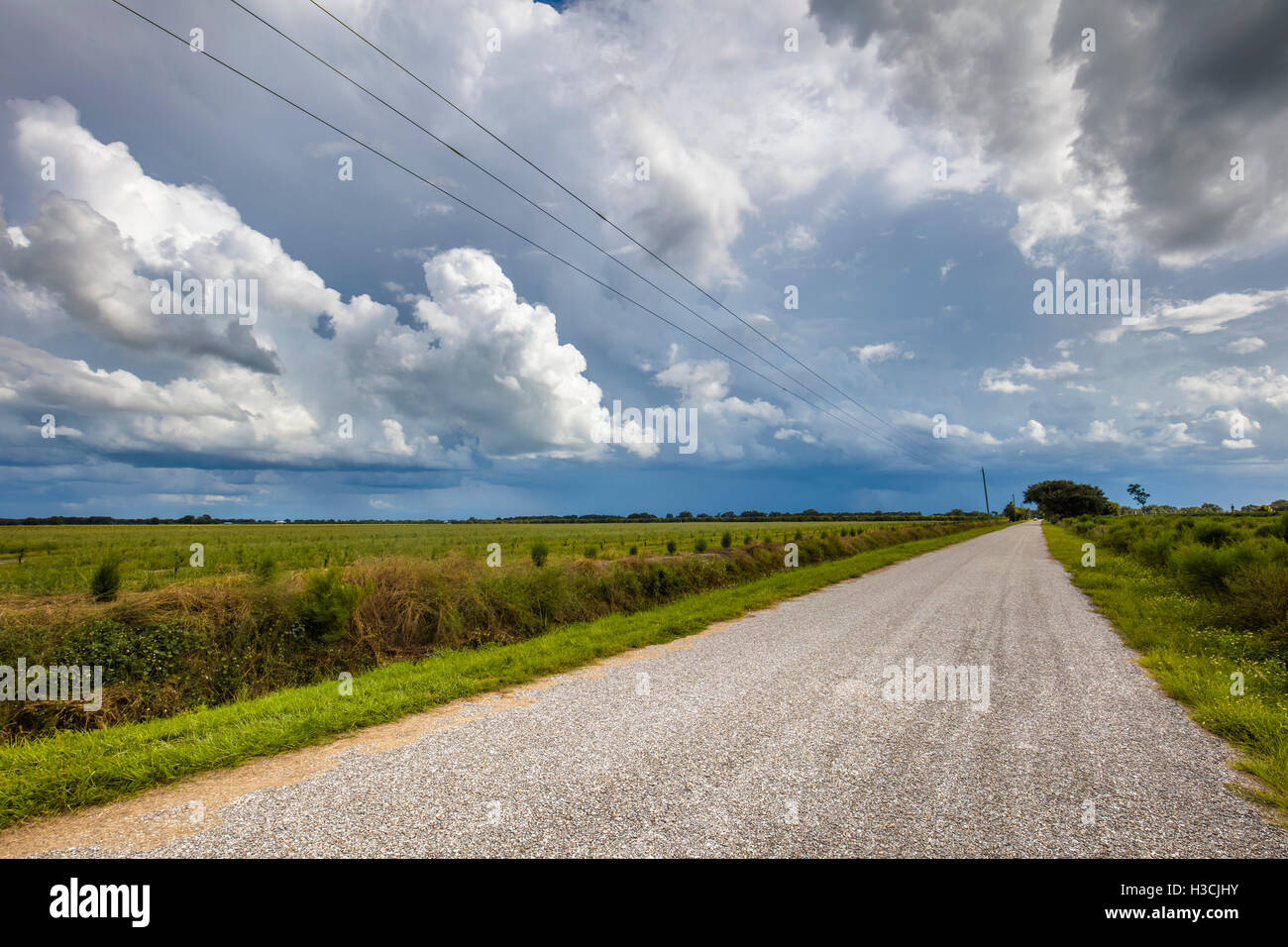 Road running into the distance with big dramatic white storm clouds in ...