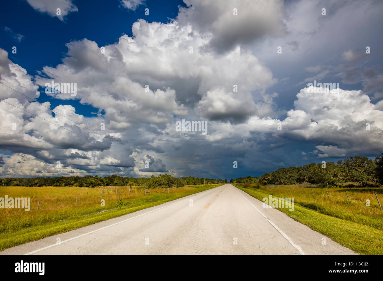Road running into the distance with big dramatic white storm clouds in ...