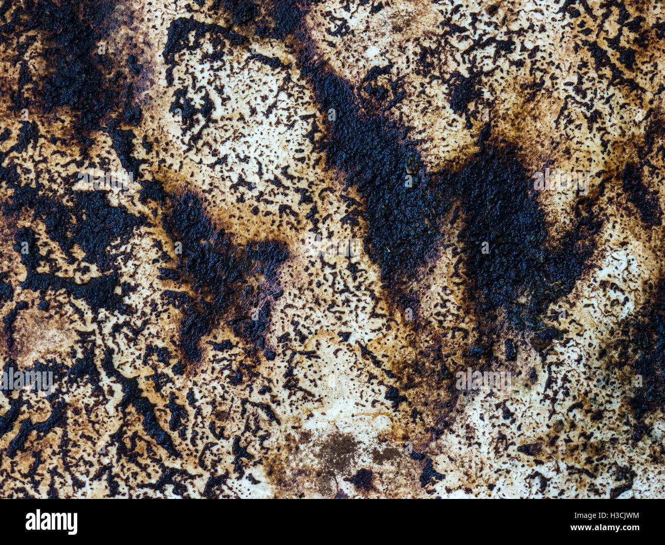 Brown roll aged paper hi-res stock photography and images - Alamy