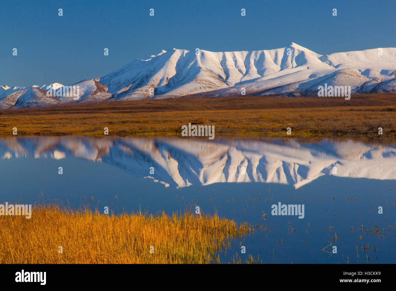 Brooks mountain range hi-res stock photography and images - Alamy