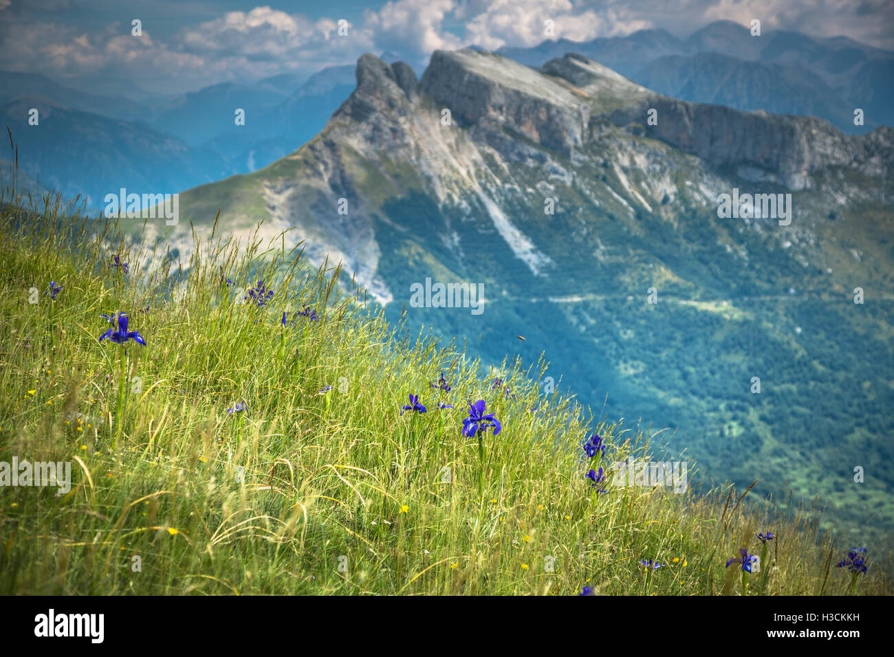 Pyrenees mountains landscape in summer. Huesca, Agaron Stock Photo - Alamy