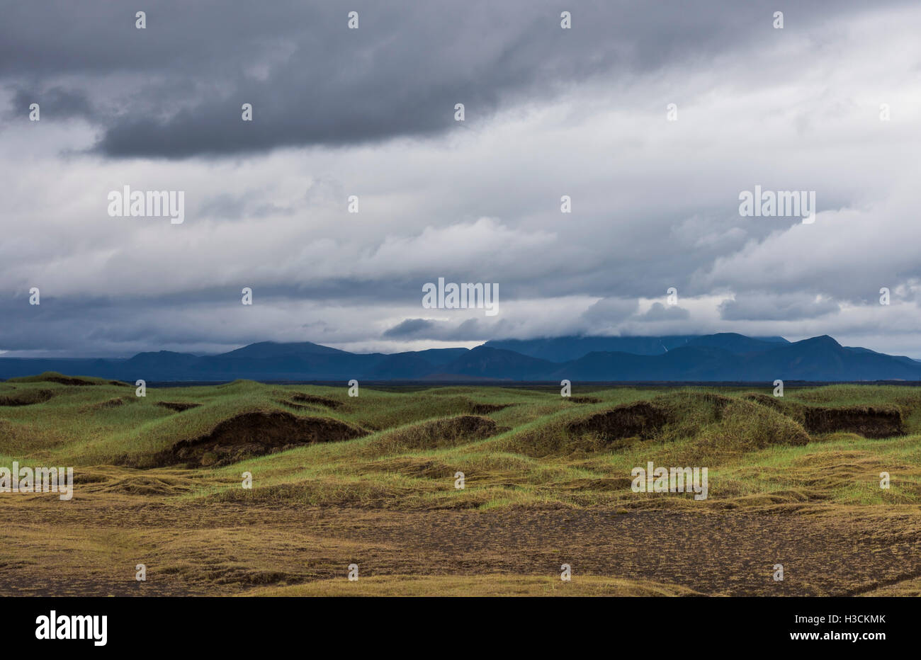 Volcanic landscape on Iceland with grass, lava, mountains and black ...
