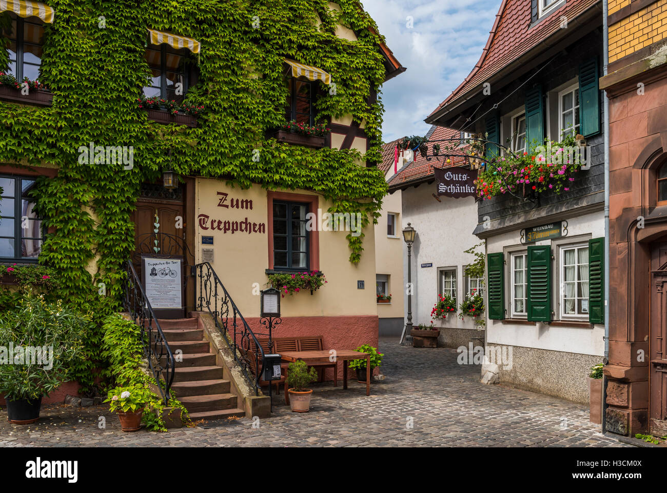 Walluf hi-res stock photography and images - Alamy