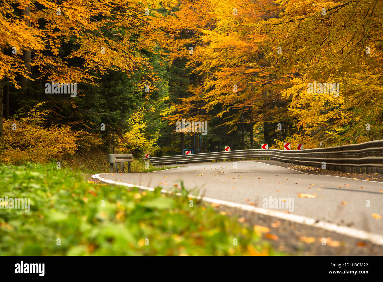 Autumn landscape with road and beautiful colored trees Stock Photo - Alamy