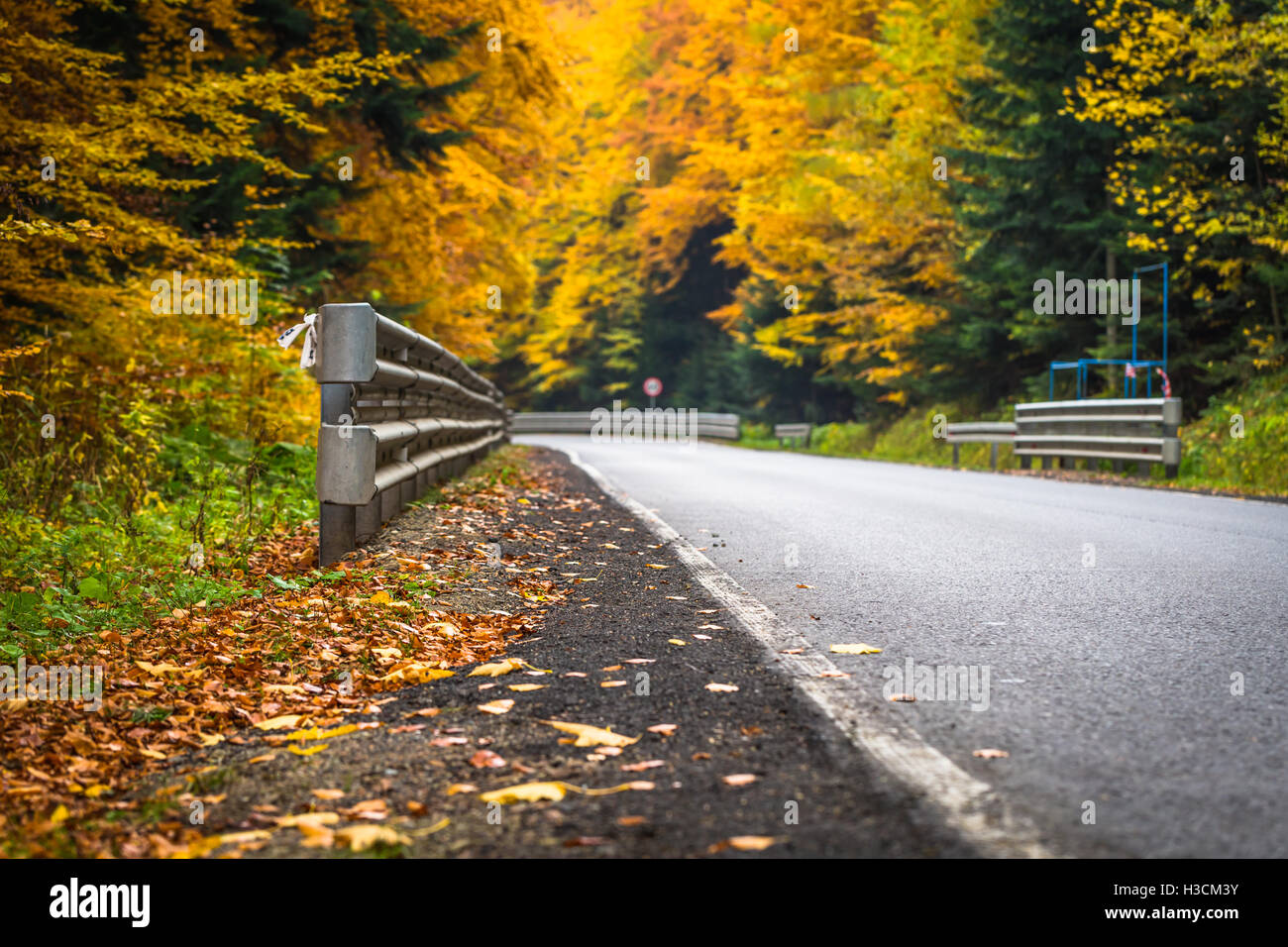 Autumn landscape with road and beautiful colored trees Stock Photo - Alamy
