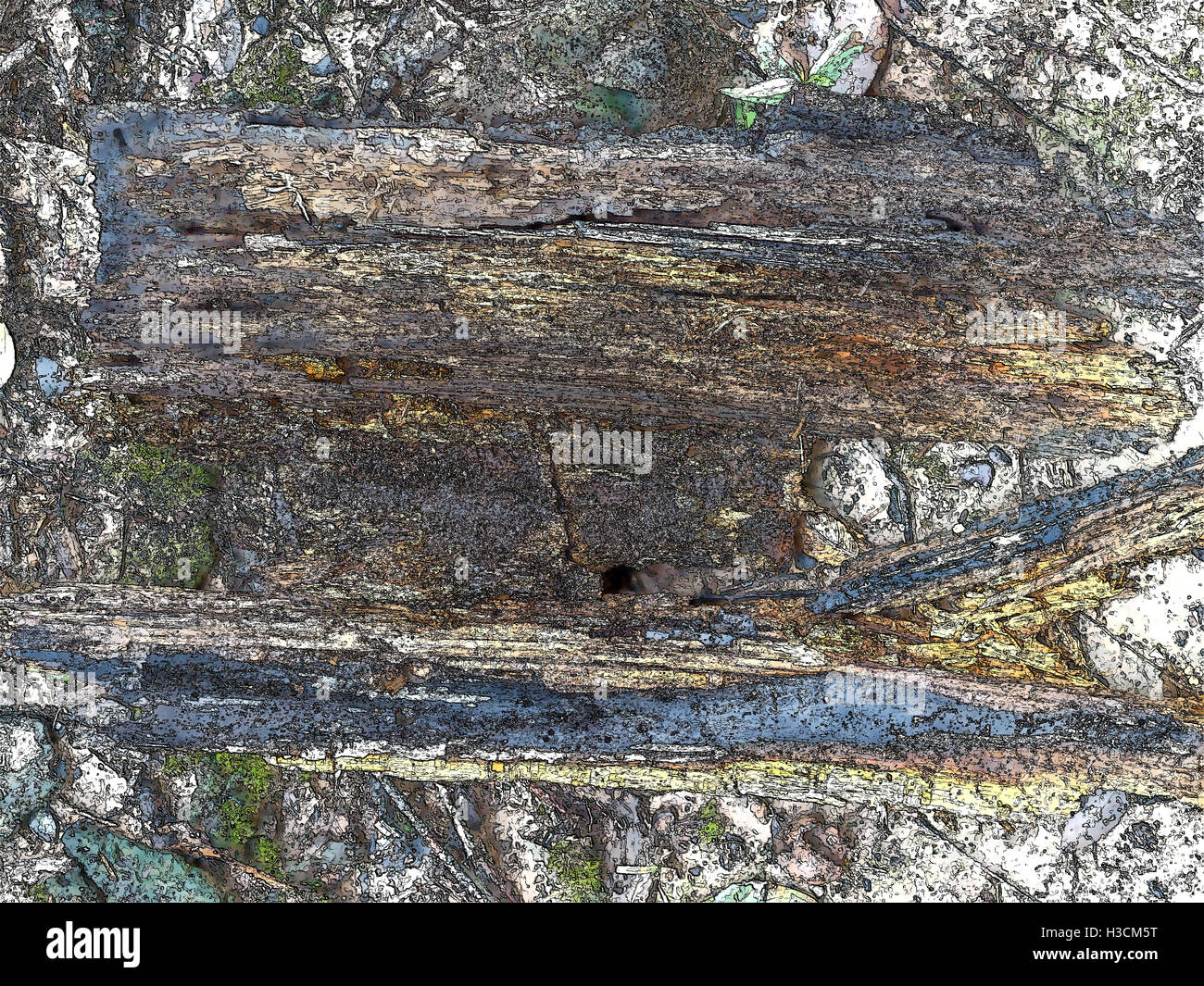 Rotten log hi-res stock photography and images - Alamy