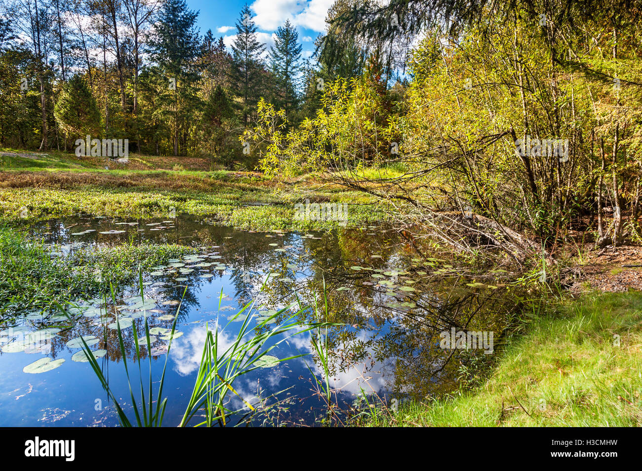 Stormwater Retention Pond High Resolution Stock Photography and Images ...