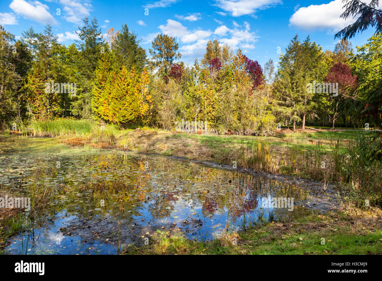 Stormwater Retention Pond High Resolution Stock Photography and Images ...