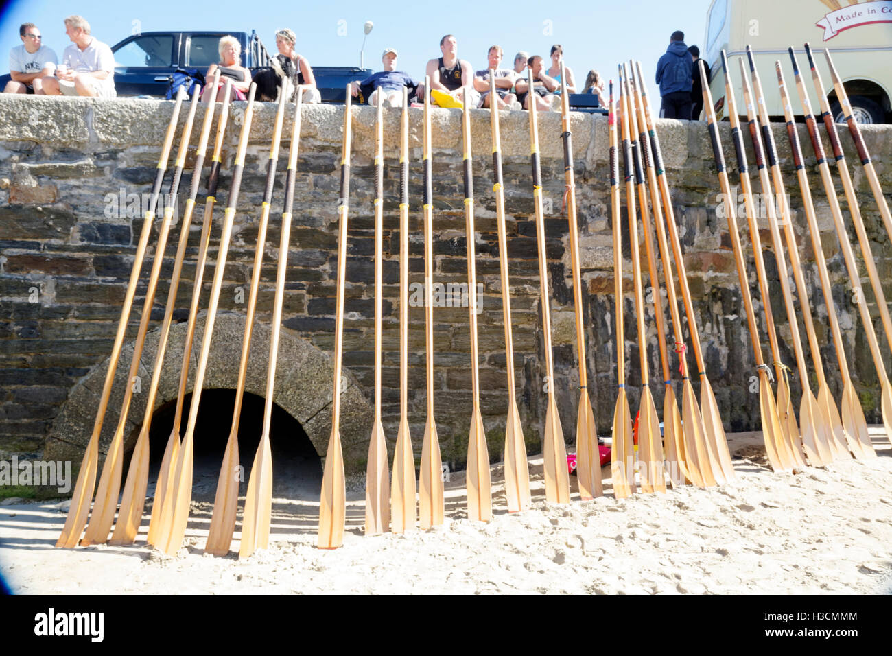 UK Cornwall Traditional Cornish gig boat racing crews Stock Photo - Alamy