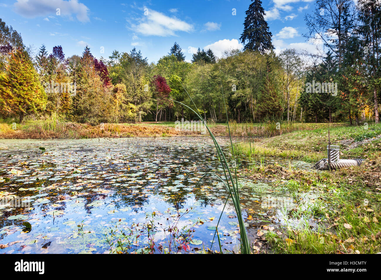 Stormwater Retention Pond High Resolution Stock Photography and Images ...