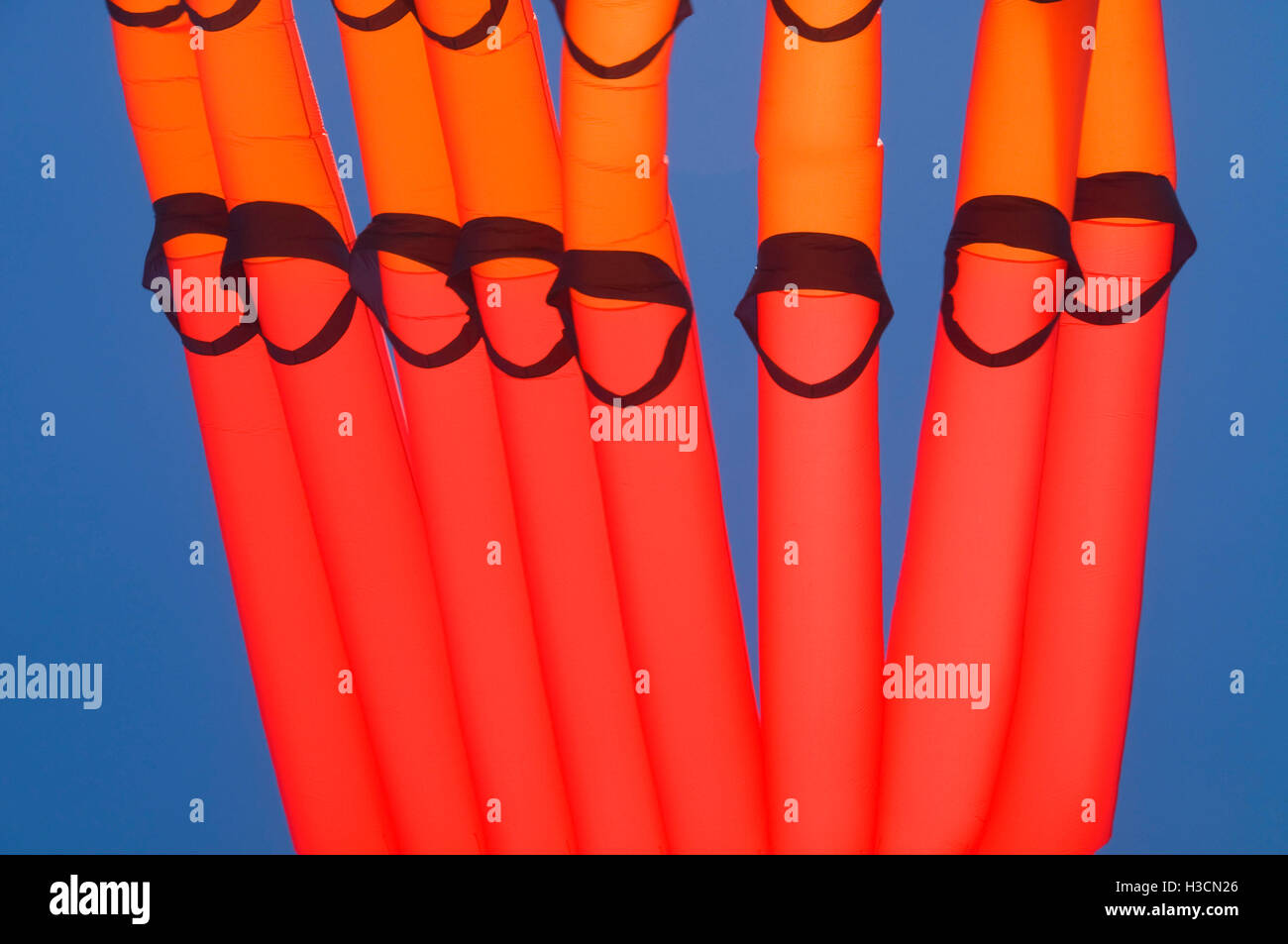 Kites legs hi-res stock photography and images - Alamy