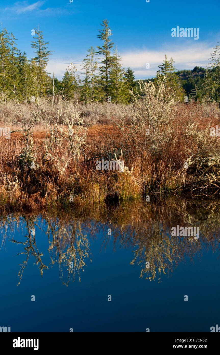 Ona beach state park hi-res stock photography and images - Alamy