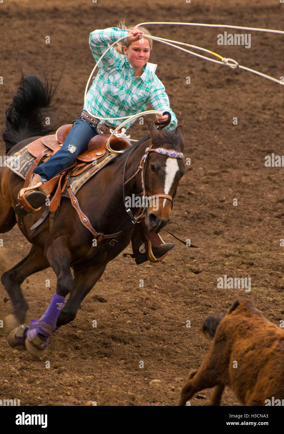 Cowgirl roping hi-res stock photography and images - Alamy
