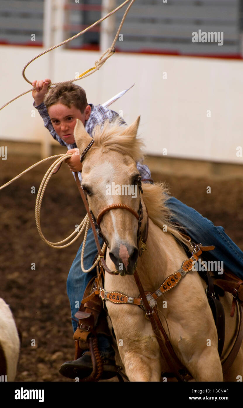 Cowboy roping st paul junior hi-res stock photography and images - Alamy
